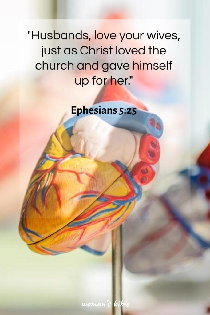 26 Beautiful Bible Verses About the Heart of a Woman - Exploring the ...