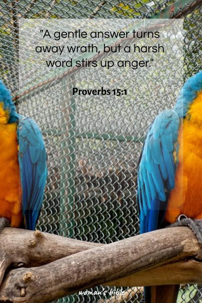 19 Bible Verse about Husband and Wife Fighting - Exploring the Source ...