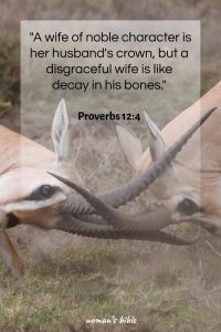 19 Bible Verse about Husband and Wife Fighting - Exploring the Source ...