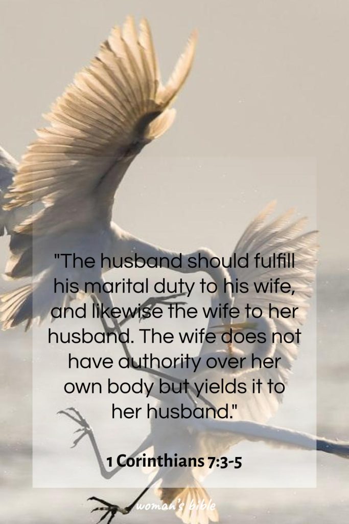 19 Bible Verse about Husband and Wife Fighting - Exploring the Source ...