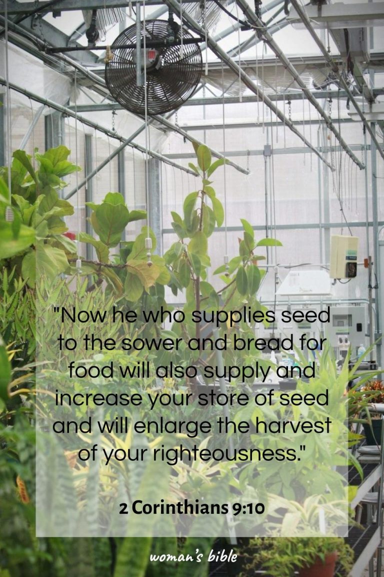 Today's Verse for Woman - 2 Corinthians 9:10, Monday, September 9th ...